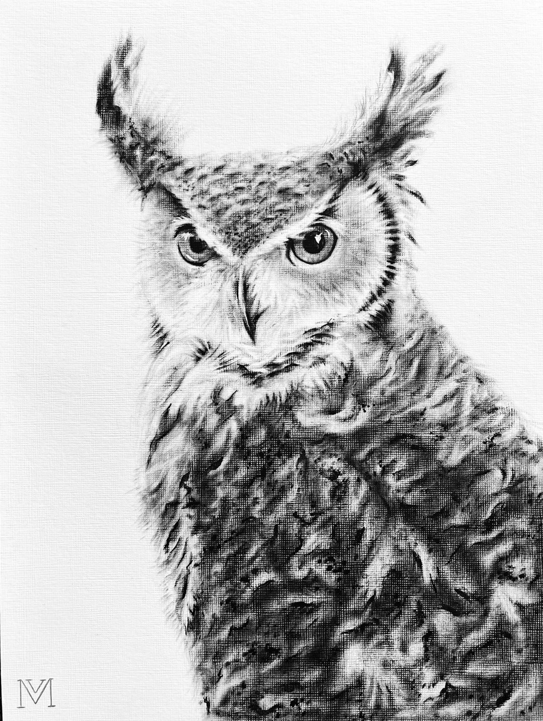 Original Handmade Owl Drawing, Black & White - Dry Oil Brush Art on ...