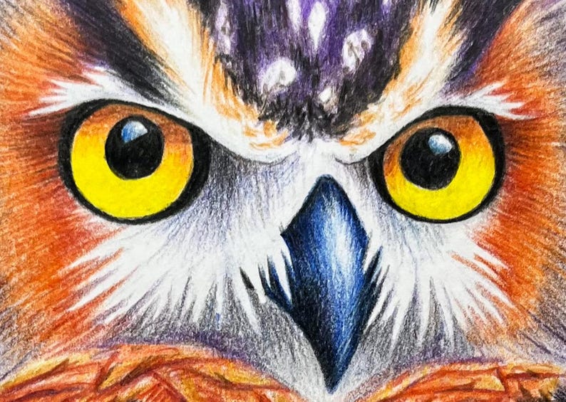 Original Handmade Vibrant Owl Drawing - Colored Pencil Art on Paper. - Etsy