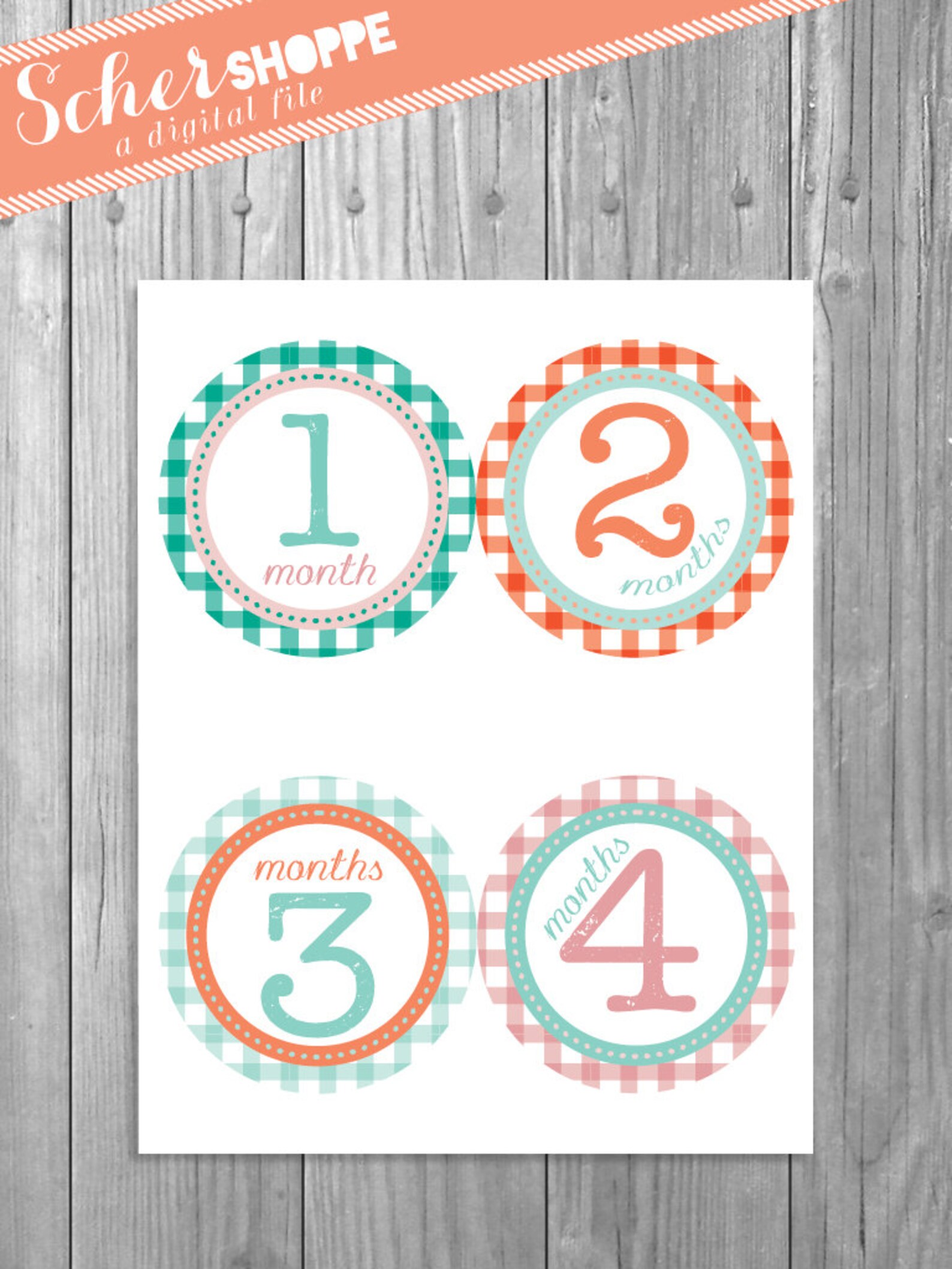 Printable Monthly Baby Onesie Sticker // Month to Month Baby Girl and ...