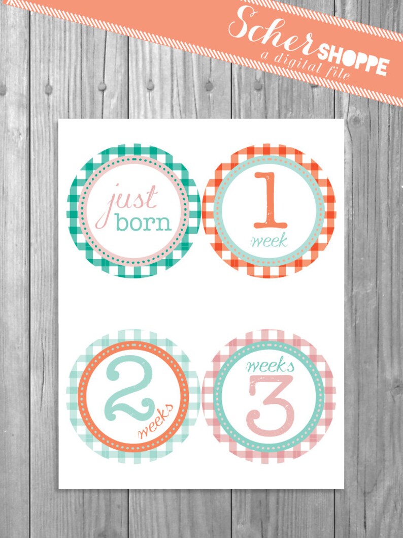 Printable Monthly Baby Onesie Sticker // Month to Month Baby Girl and ...