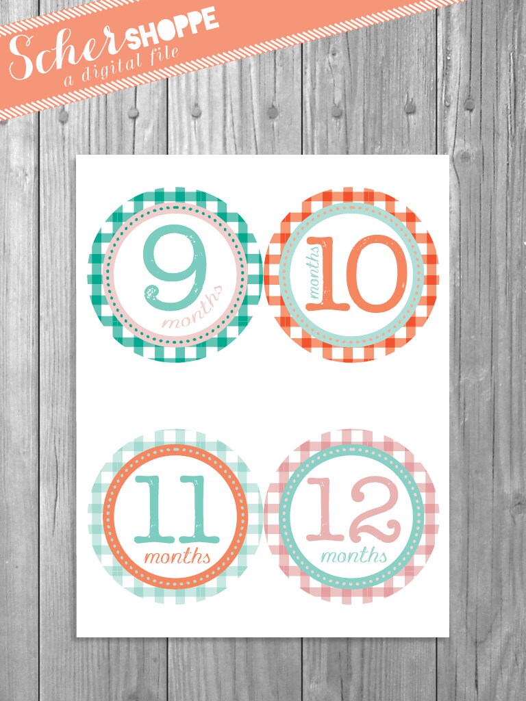Printable Monthly Baby Onesie Sticker // Month to Month Baby Girl and ...