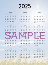 2024 or 2025 Calendar 1 Page Printable Day/night/nature Themed - Etsy