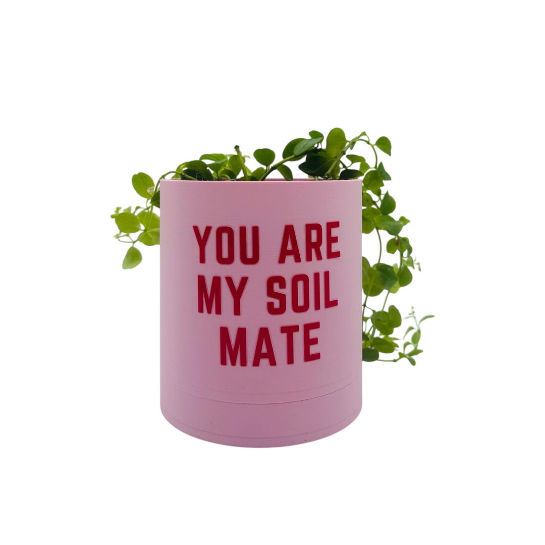 You Are My Soil Mate Planter | 3D Printed Valentine's Gift for Plant ...