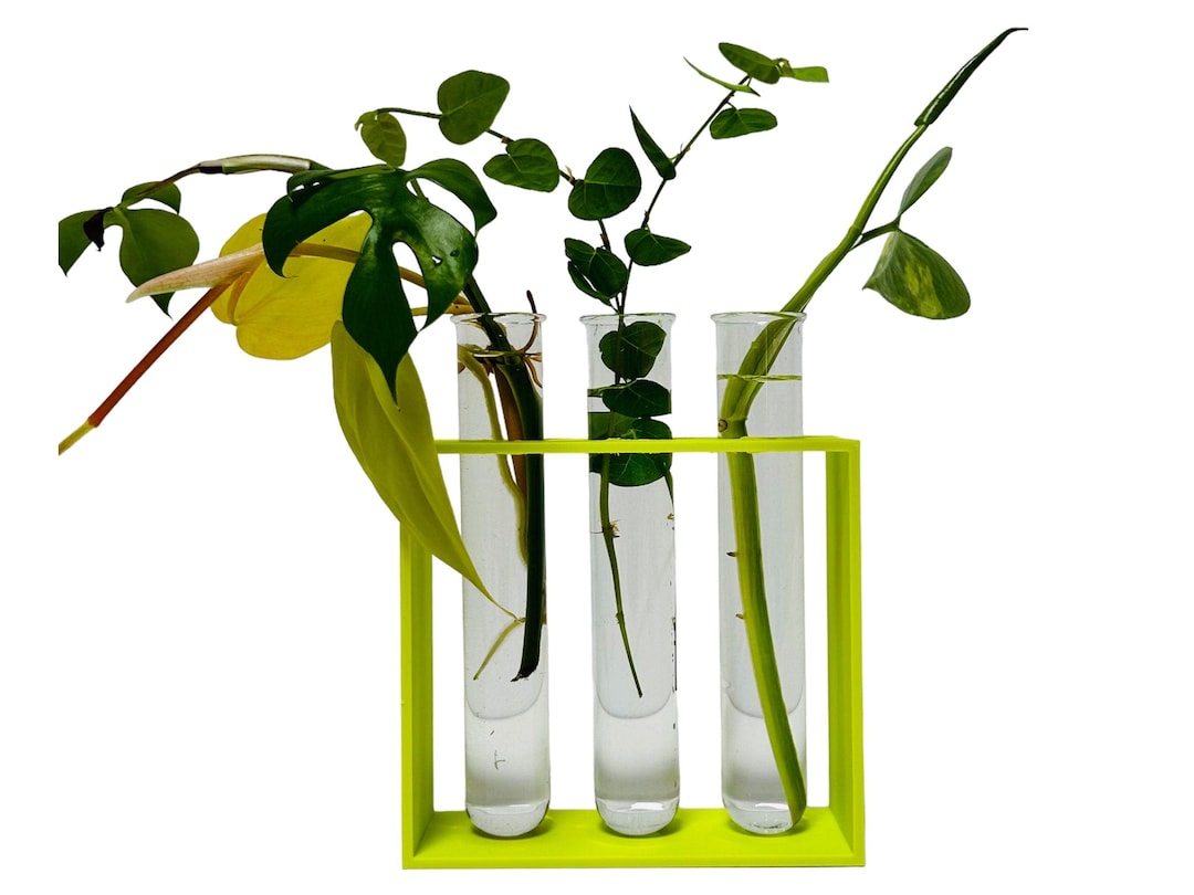 Plant Propagation // Three Test Tube Propagation Stand // Chop and Prop ...