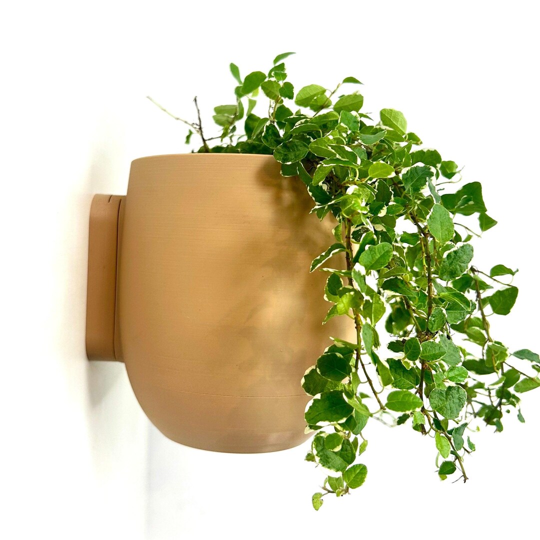 The Fitzroy Wall Mounted Pot Planter // Attach With Screws // 3 Sizes ...