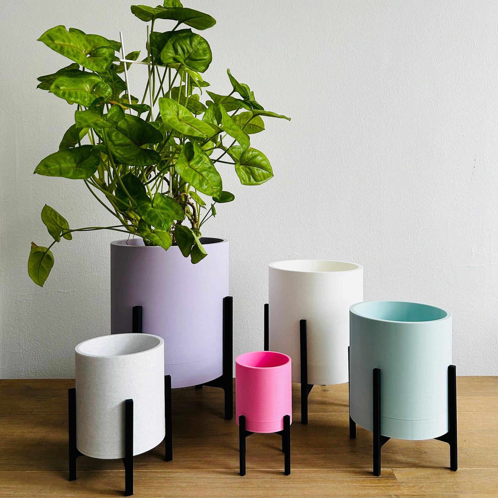 The Magnolia Planter // Plant Stand & Planter and Hidden Drip Tray // 4 ...