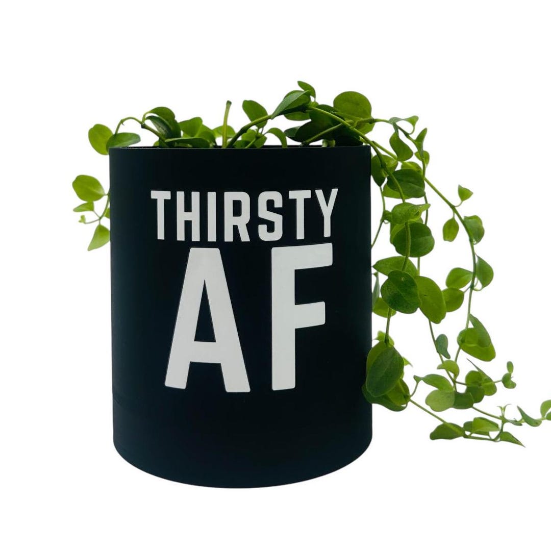 Thirsty AF Planter – Funny 3D Printed Pot With Drip Tray for Desk ...