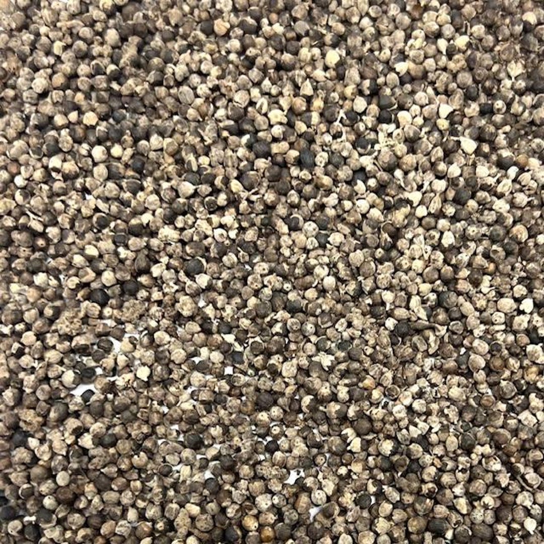 Chaste Tree Berries 1 Lb (16 Oz) Over 200 Bulk Herbs! - Etsy