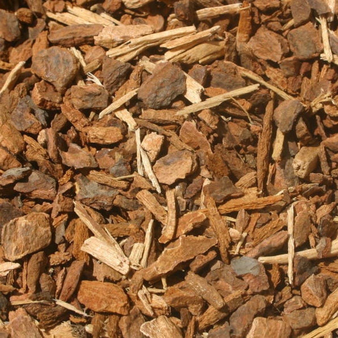 Wild Cherry Bark 1 Lb. Over 100 Bulk Herbs! - Etsy