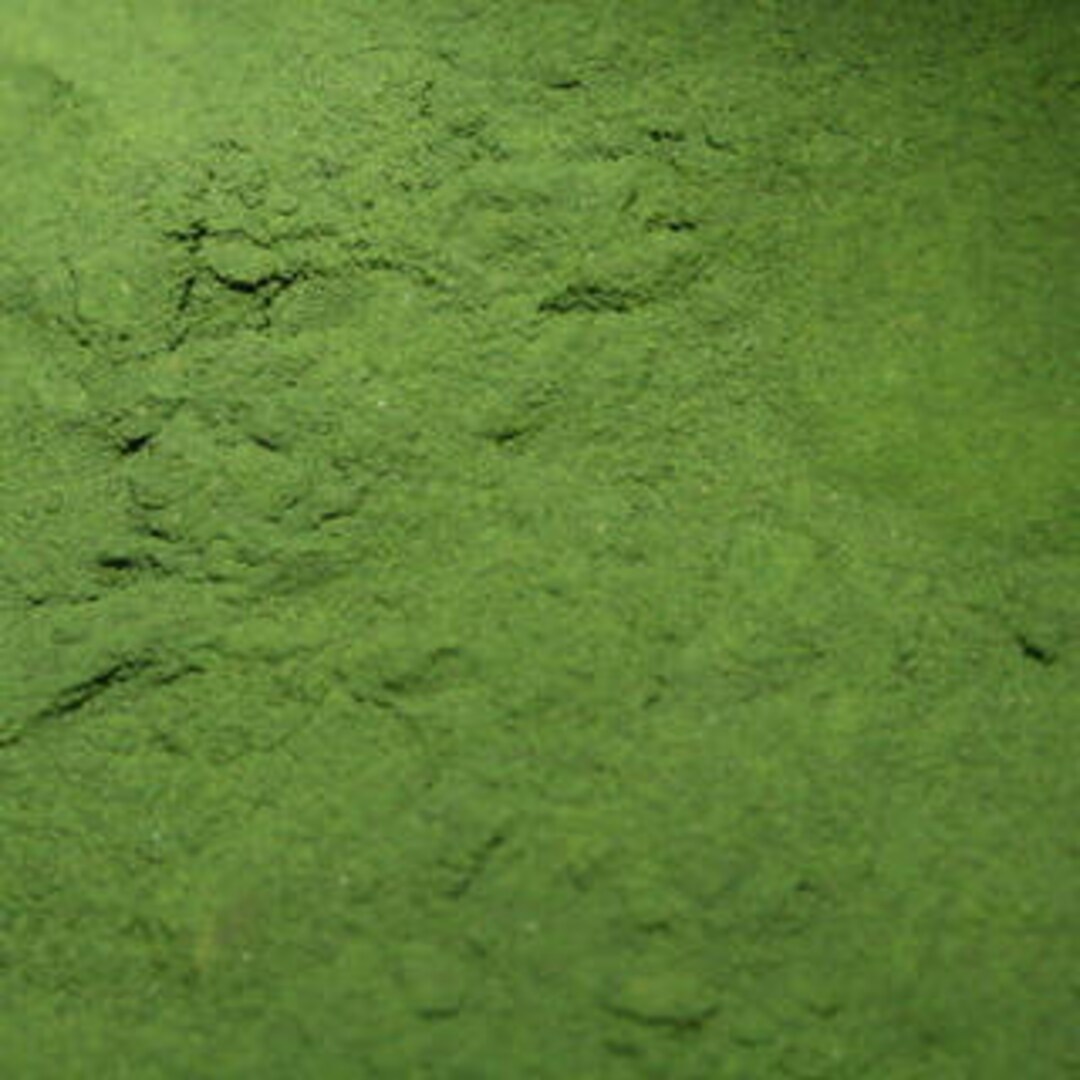 Chlorella Powder 4 Oz. Over 100 Bulk Herbs! - Etsy
