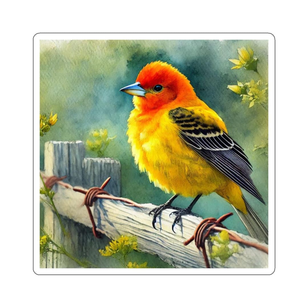 Bird Stickers, Western Tanager Design, Wildlife Decals, Nature Lover ...