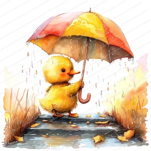 12 Duckling in Rain Clipart | Duckling Under the Rainbow | Printable ...