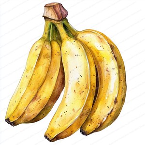 20 Banana Paradise Clipart | Tropical Fruit Illustration Set ...