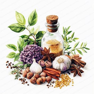 16 Watercolor Herbs and Spices Clipart | Kitchen Clipart | Printable ...