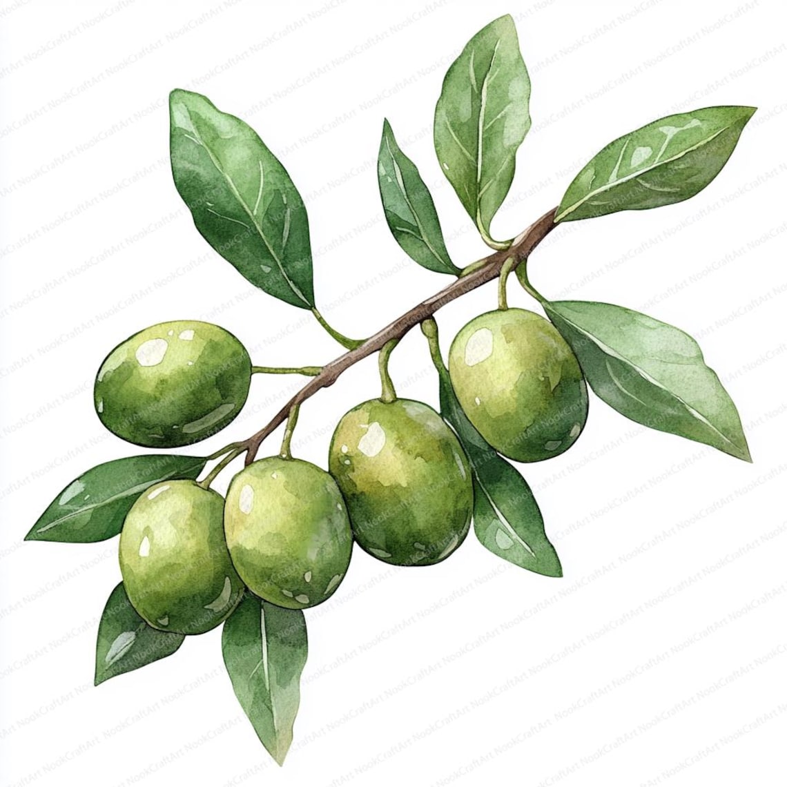24 Olive Branch Clipart | Green Olives Illustration Pack | Printable ...