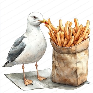 20 Seagull Stealing Fries Clipart | Fun Quirky Seaside Illustration ...