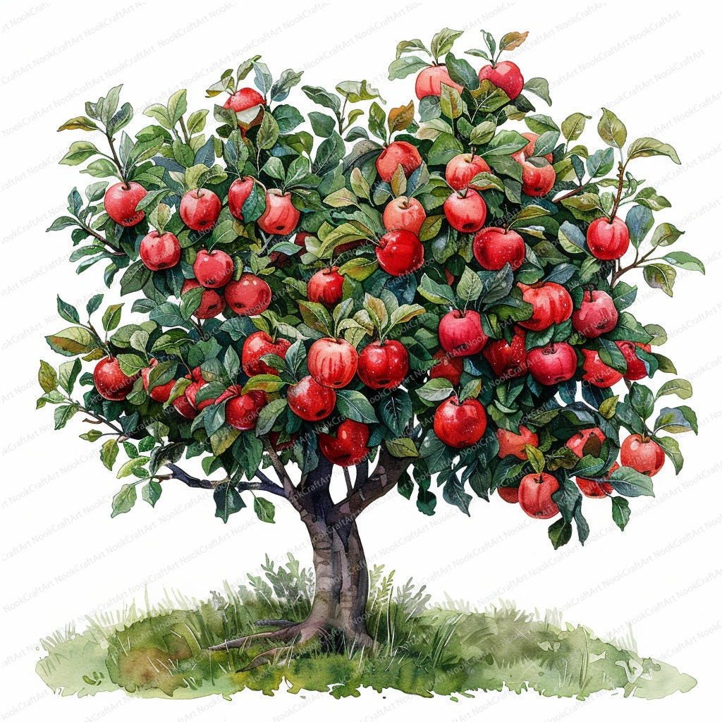 12 Apple Trees Clipart Apple Tree Printable Watercolor Clipart High ...