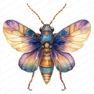 20 Beaded Winged Fantasy Bug Clipart | Enchanting Insect Illustration ...