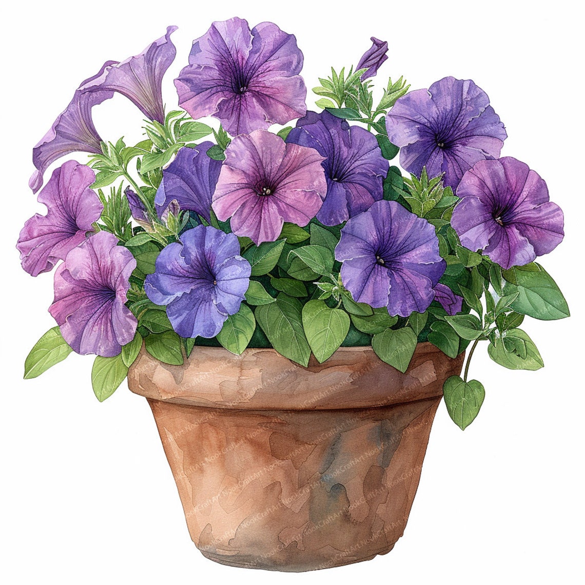 Petunias Clipart Bundle Petunias Watercolor 15 High Quality JPG Clipart ...