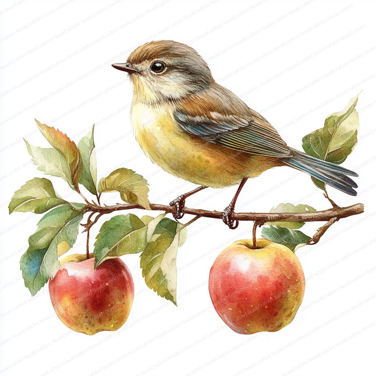20 Bird on Branch With Apples Clipart | Nature Art Illustration ...