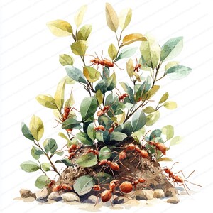 23 Ant Hill Building Clipart | Creative Ants in Action | Printable ...
