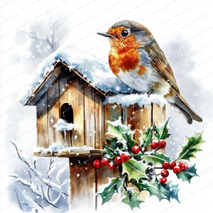 16 Cute Christmas Robins Clipart | Printable Watercolor Clipart | High ...