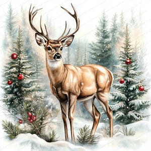 20 Christmas Deer Clipart Bundle | Reindeer Clipart | High Quality Jpgs ...