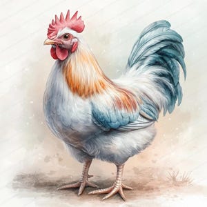 Pastel Chicken Clipart Bundle | 14 High Quality Jpgs | Printable ...