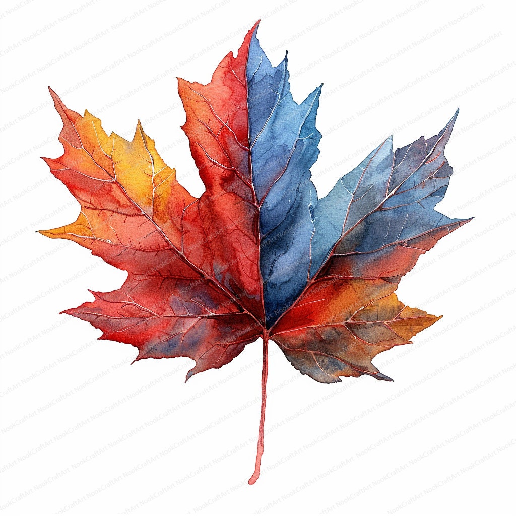 12 Maple Leaf Clipart Elegant Maple Leaf Clipart Bundle High Quality ...
