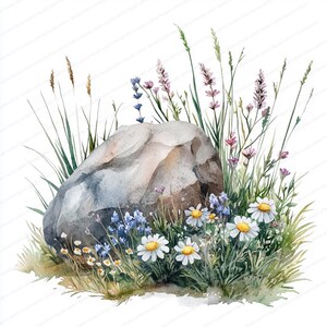 14 Wildflowers and Stones Clipart | Blooming Floral Clipart | Printable ...