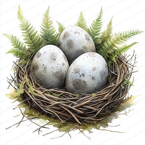 20 Dinosaur Egg Nest Clipart | Prehistoric Nesting Illustration ...
