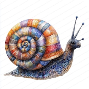 20 Folk Art Snail Clipart | Whimsical Snail Illustrations | Folk Decor ...