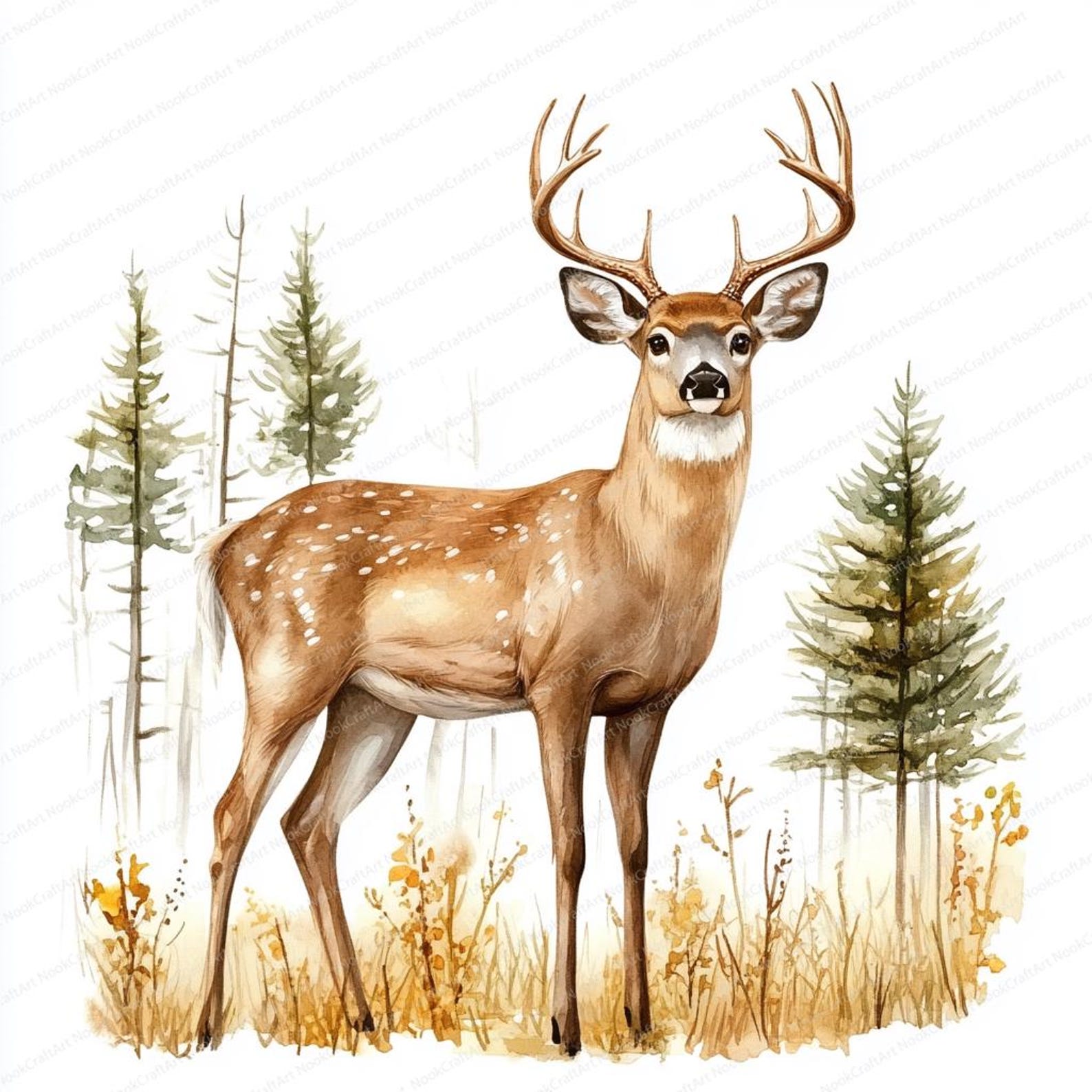 14 Clipart With a White-tailed Deer | Deer in Forest | Printable ...