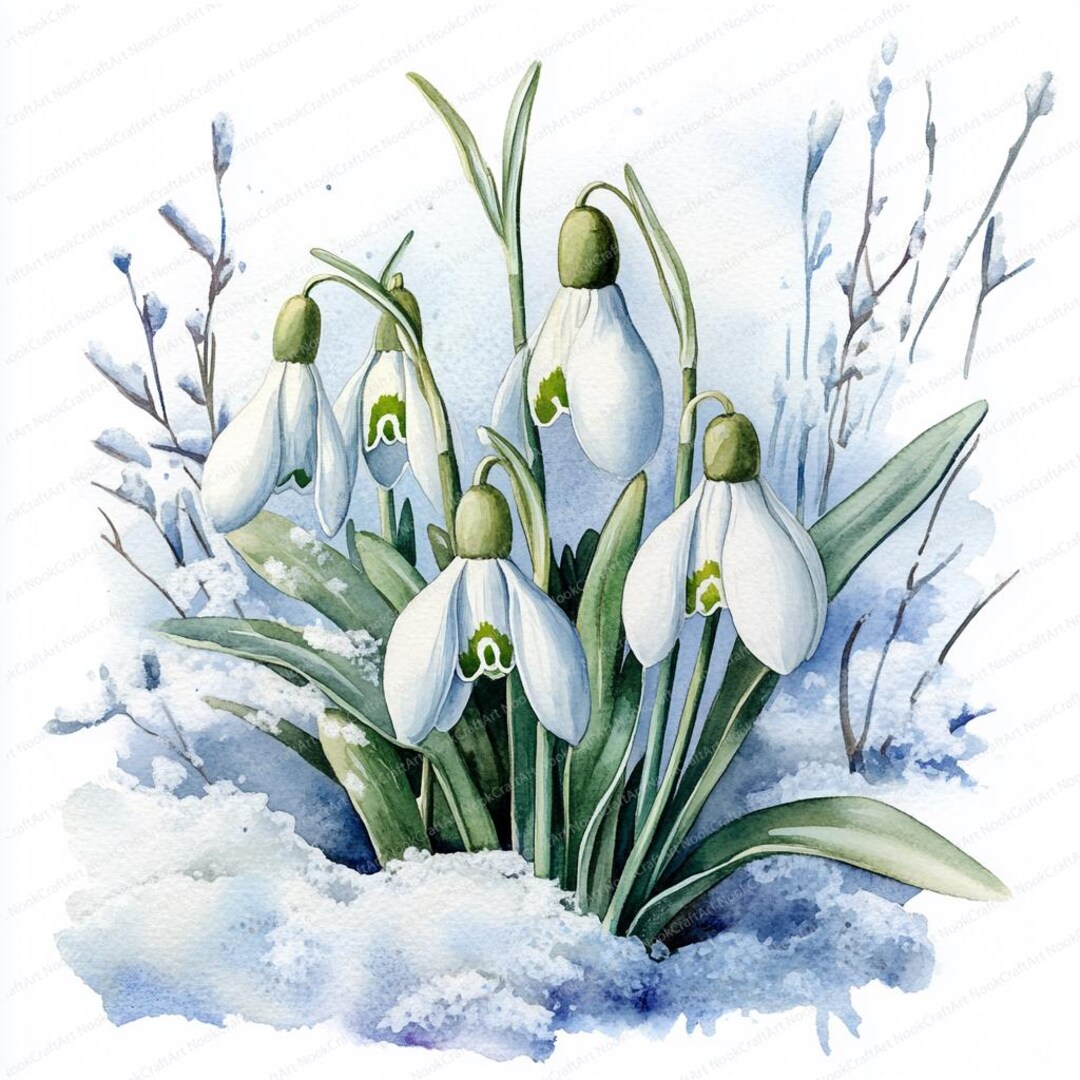 14 Snowdrops Clipart | Blooming Spring Flowers Clipart | Printable ...