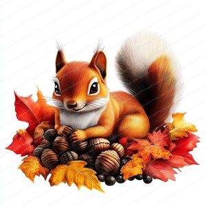 16 Cute Fall Squirrel Clipart | Autumn Squirrel Clipart | Printable ...