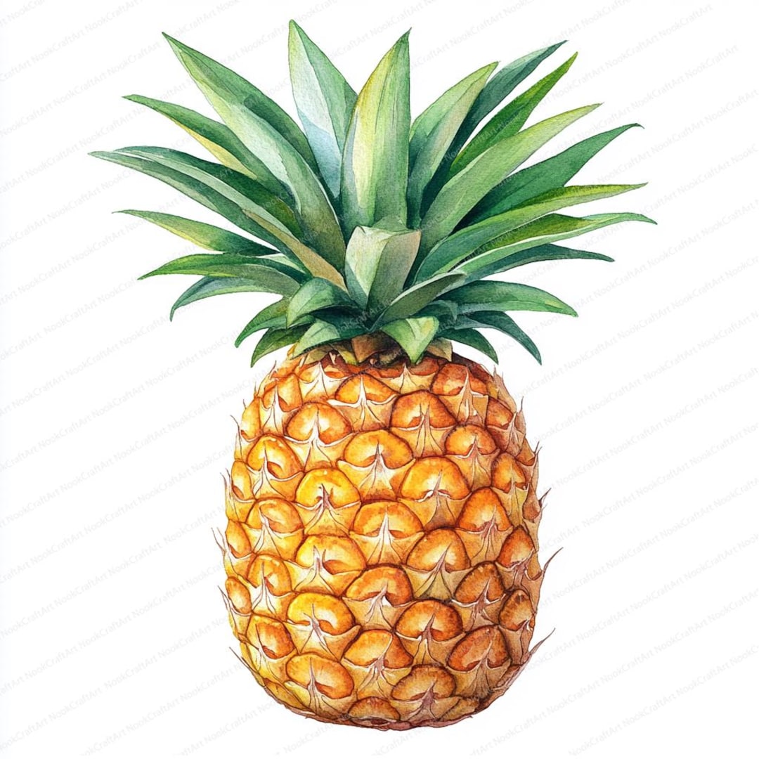 18 Tropical Pineapple Clipart Bundle | Exotic Fruit Illustrations ...