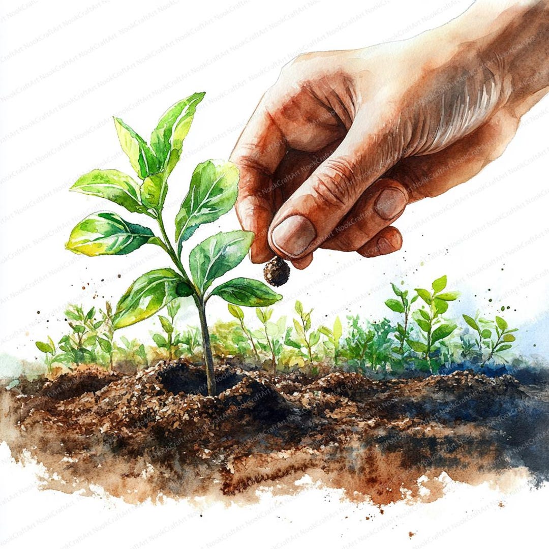 20 Garden Seed Clipart | Planting Essentials Collection| Printable ...