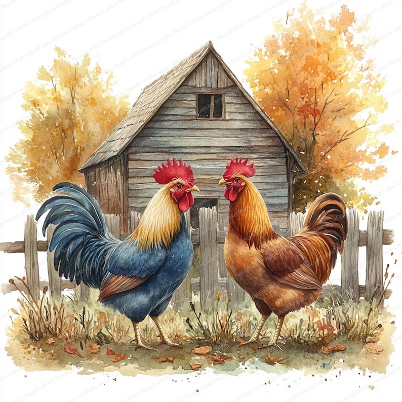 23 Farmyard Rooster and Hen Clipart | Rustic Barnyard Animal ...