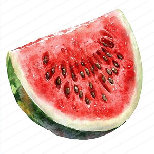 18 Watermelon Slice Clipart With Seeds | Summer Fruit Illustration ...