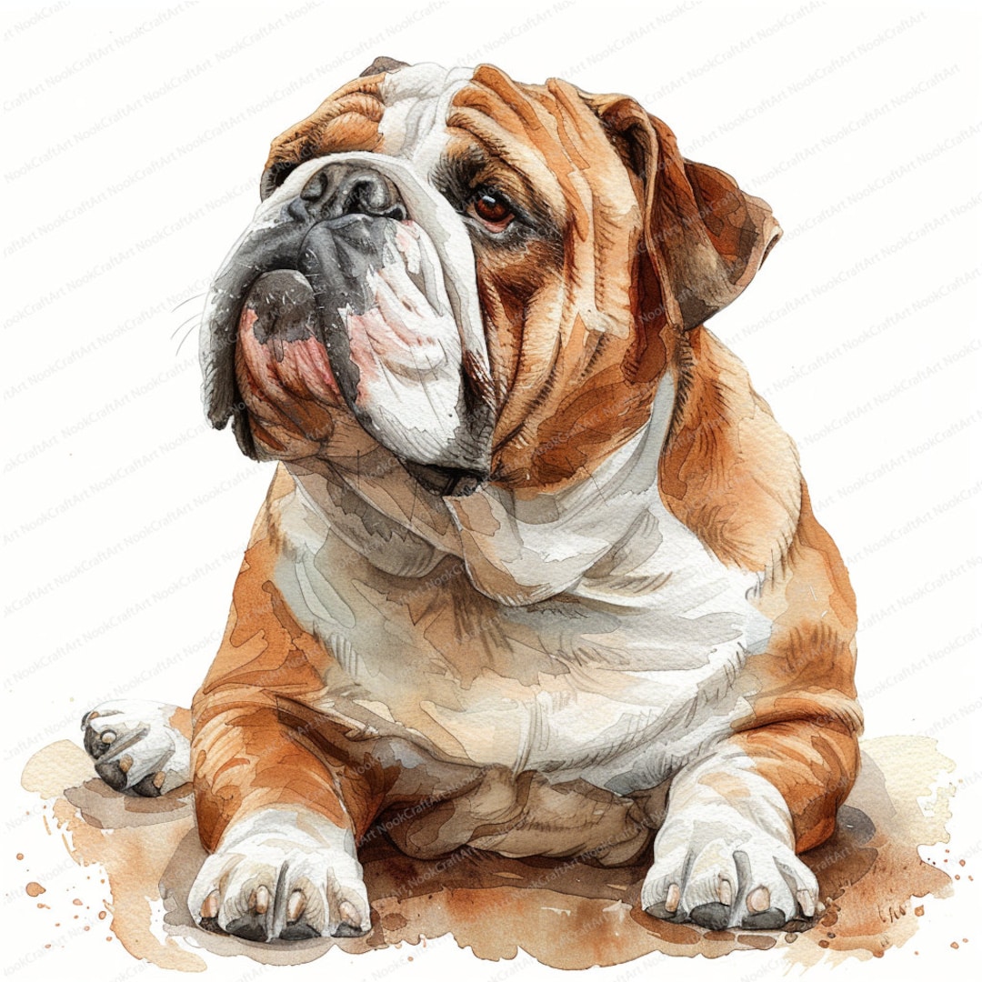 12 English Bulldog Clipart | Printable Watercolor Clipart | High ...