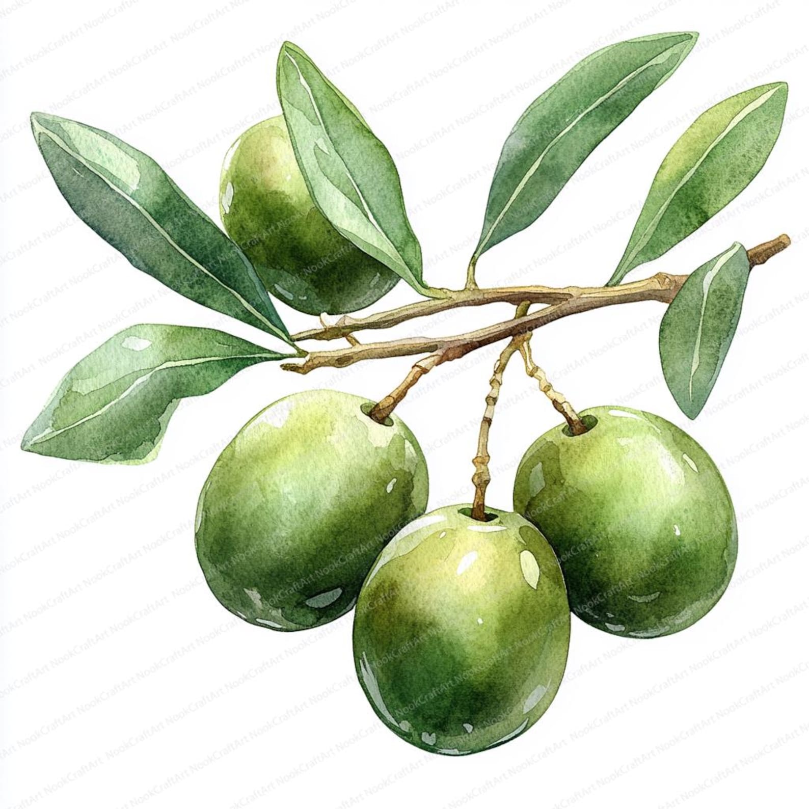 24 Olive Branch Clipart | Green Olives Illustration Pack | Printable ...