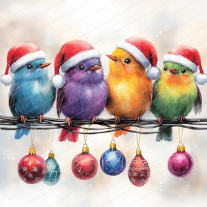 16 JPG Christmas Birds Clipart | Whimsical Winter Bird Designs ...