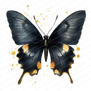 16 Gold Butterfly Clipart | Printable Watercolor Clipart | High Quality ...