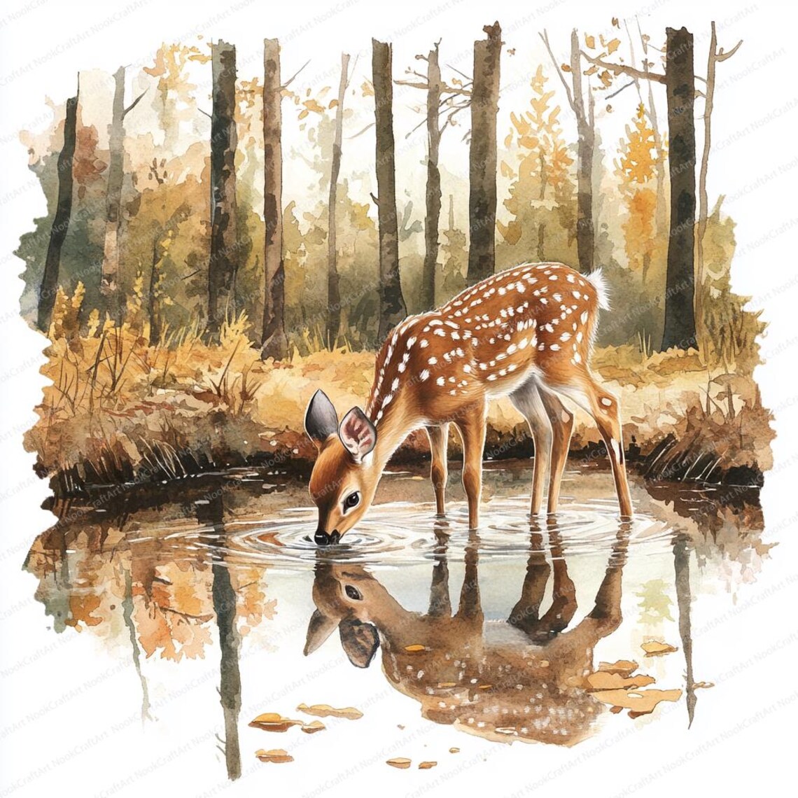 17 Deer Fawn Drinking Water Clipart | Woodland Stream Nature ...