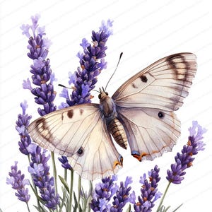 20 Butterfly on Lavender Clipart | Whimsical Floral Illustration ...