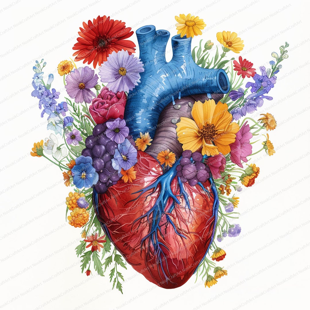 14 Floral Human Heart Clipart | Anatomical Heart | Printable Watercolor ...