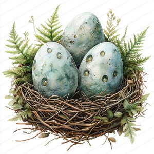 20 Dinosaur Egg Nest Clipart | Prehistoric Nesting Illustration ...