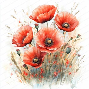 20 Poppy Field Clipart | Summer Morning Red Flowers| Printable ...
