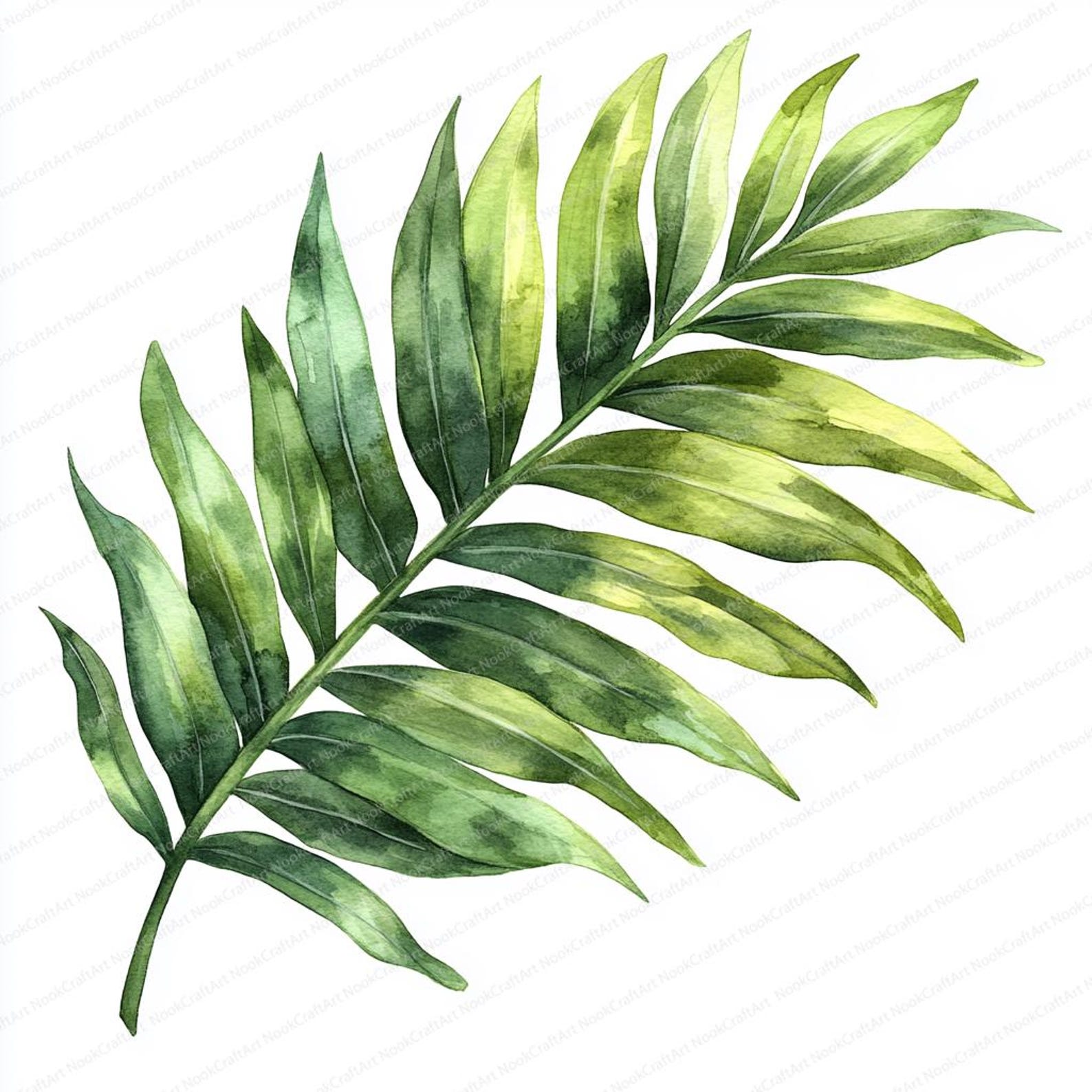 24 Gentle Palm Leaves Clipart | Tropical Foliage Art Collection ...