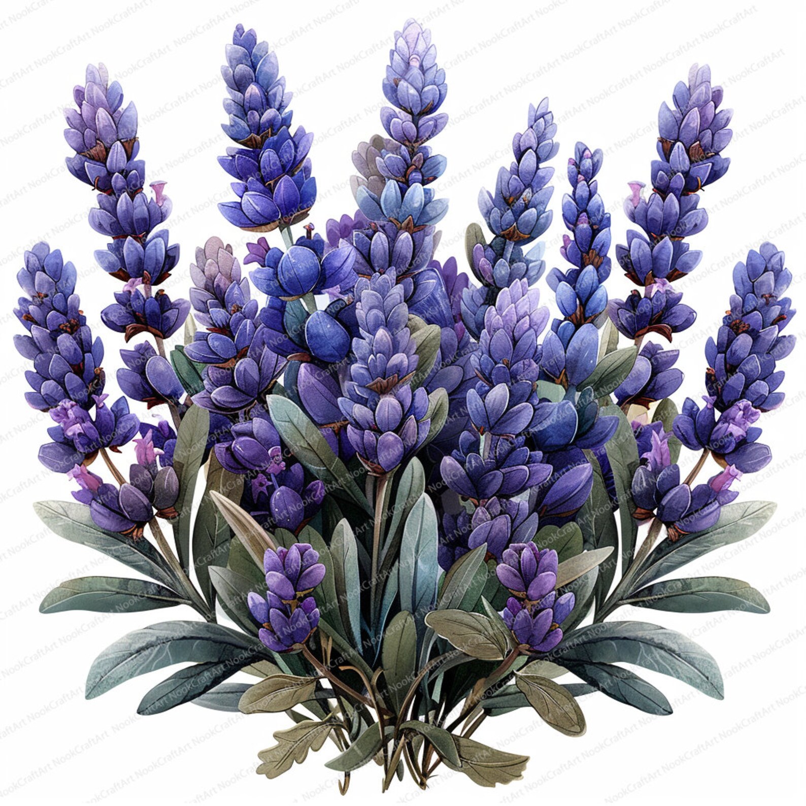 16 Lavender Plant Clipart Bundle Lavender Flower Printable Clipart High ...